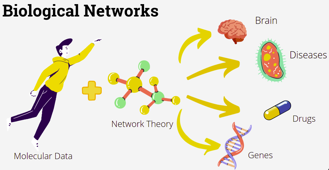 Deep Learning in Network Biology | Lorenzo Madeddu